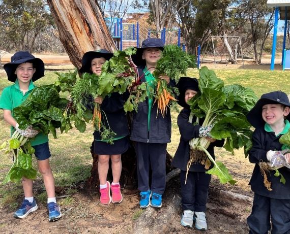 Cascade Primary School